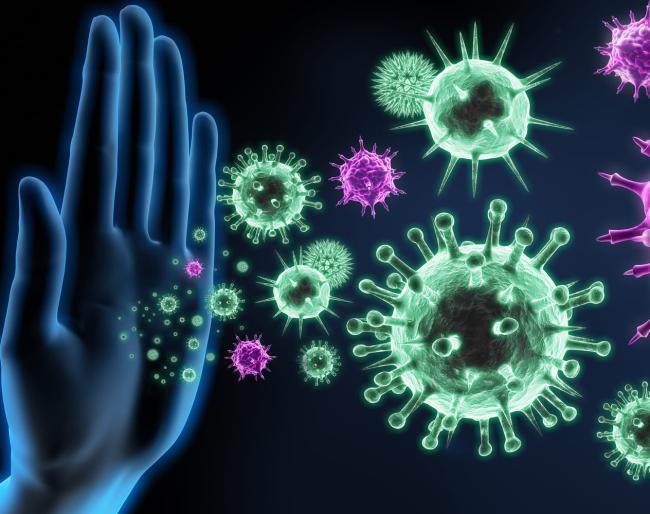 Quelles Solutions Pour Booster Le Système Immunitaire Des Personnes Fragiles Pileje