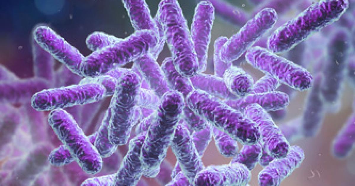 Le microbiote intestinal au cœur des troubles digestifs